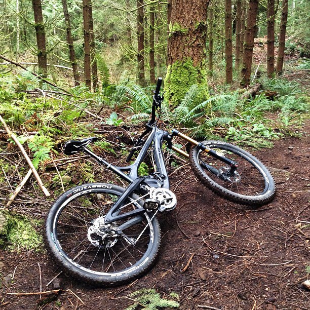 Evil Bikes Uprising Carbon Trail Bike - Mountain Bike Photos You Should ...