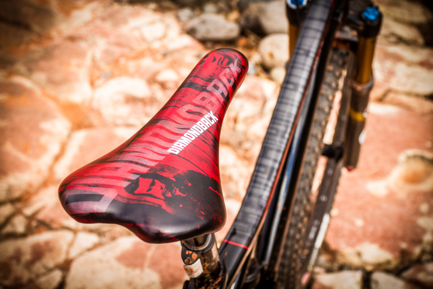 2014 Diamondback Mason FS Pro 29 - 2014 Test Sessions: Diamondback ...