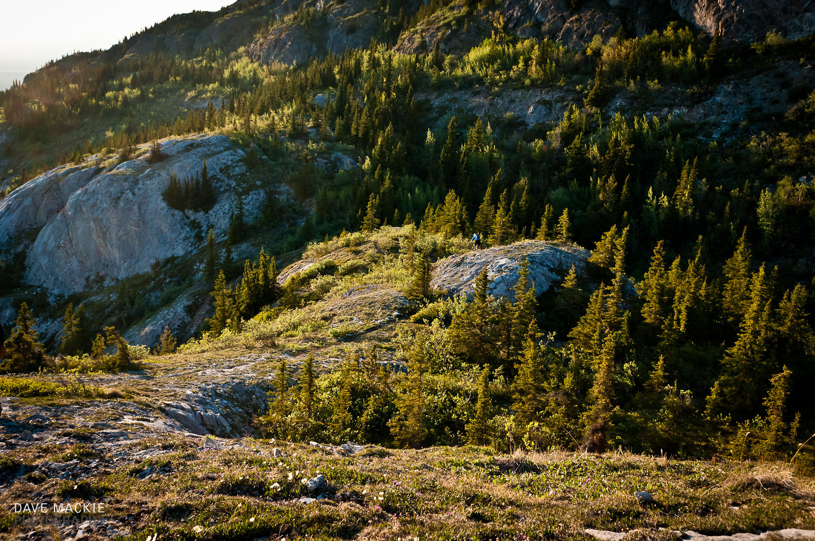 Sam Reimer, Whitehorse Yukon - dave-m - Mountain Biking Pictures ...