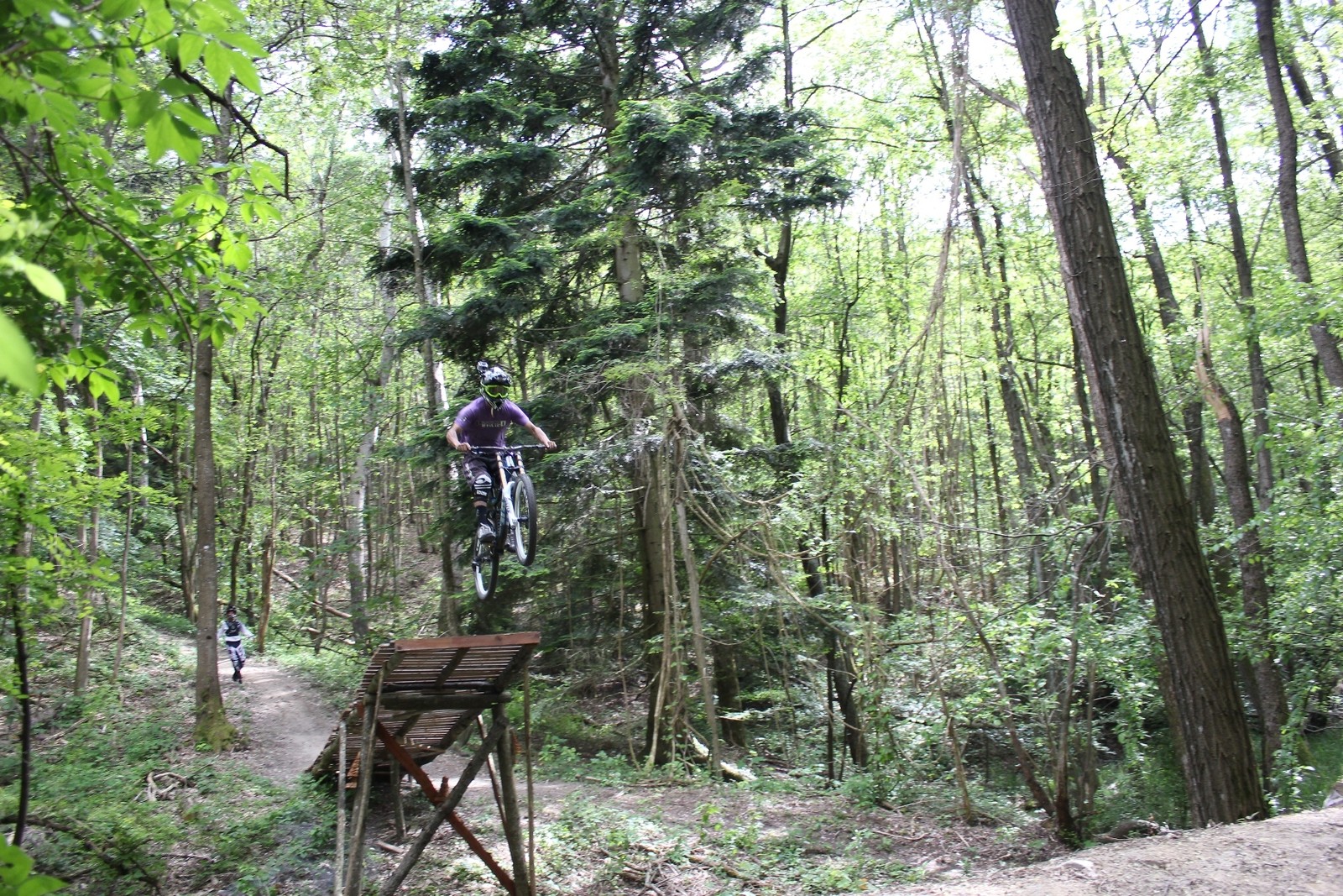 grammyx pinewood - Grammyx - Mountain Biking Pictures - Vital MTB