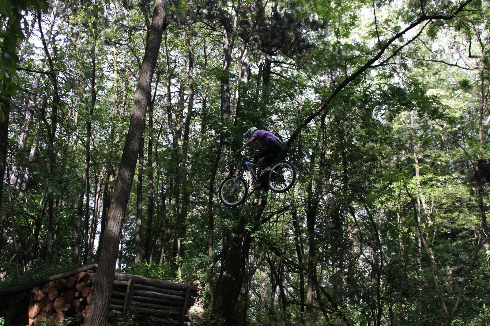 grammyx pinewood - Grammyx - Mountain Biking Pictures - Vital MTB