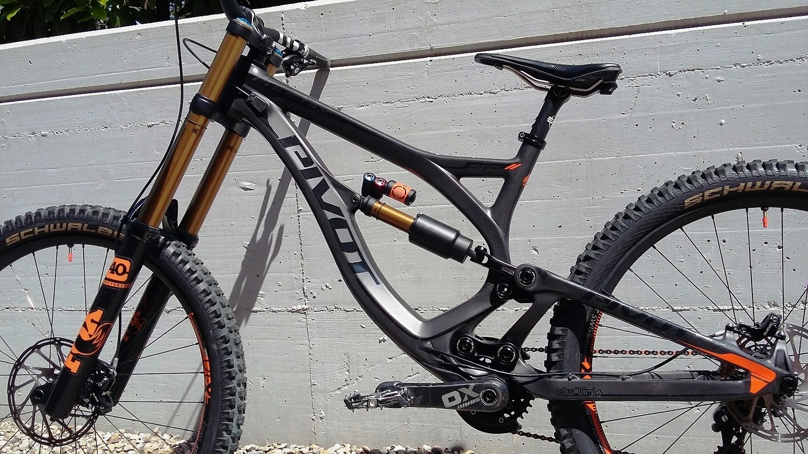 Pivot Phoenix DH Carbon - CUSTOM - Grammyx's Bike Check - Vital MTB