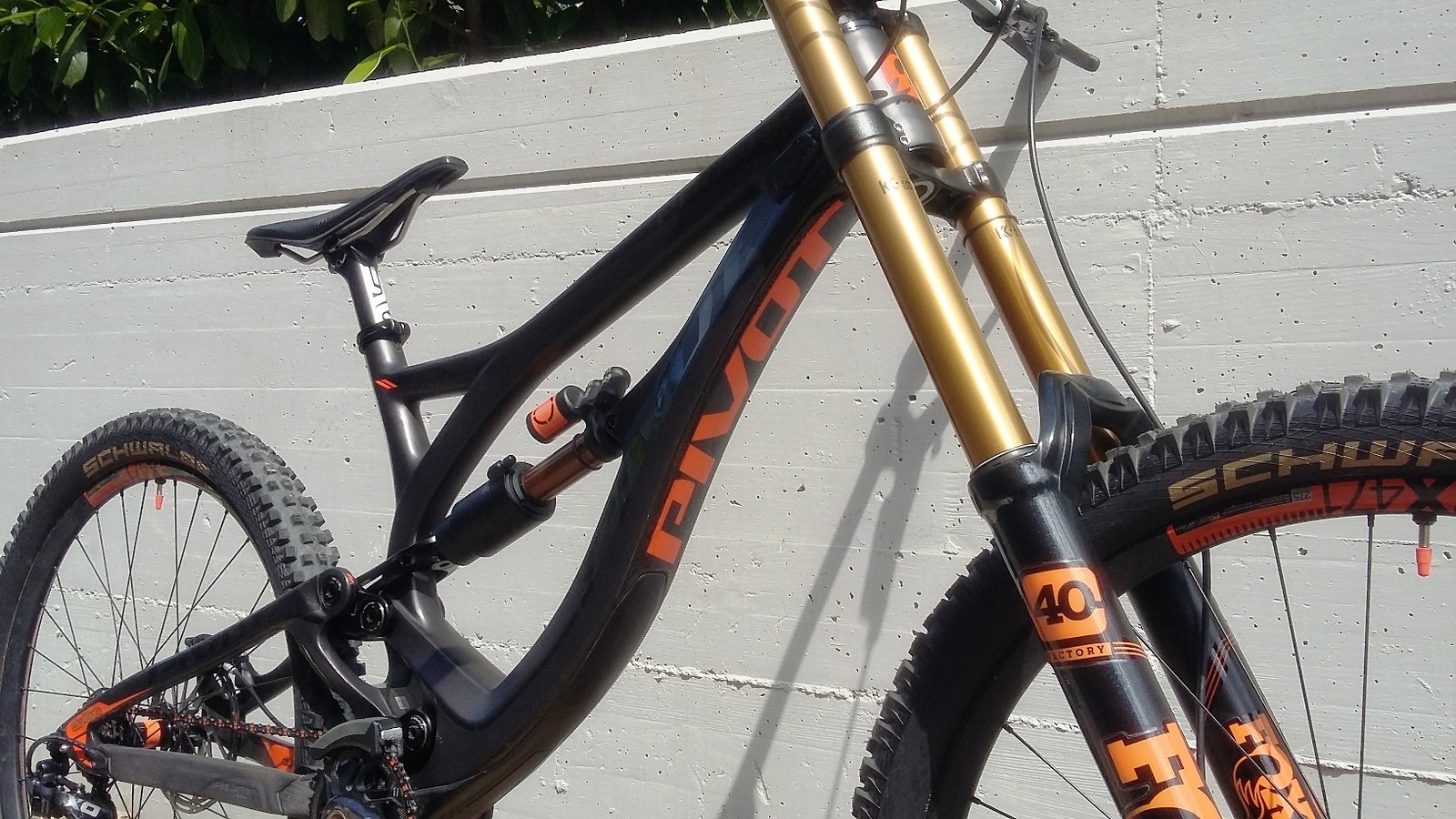 Pivot Phoenix DH Carbon - CUSTOM - Grammyx's Bike Check - Vital MTB