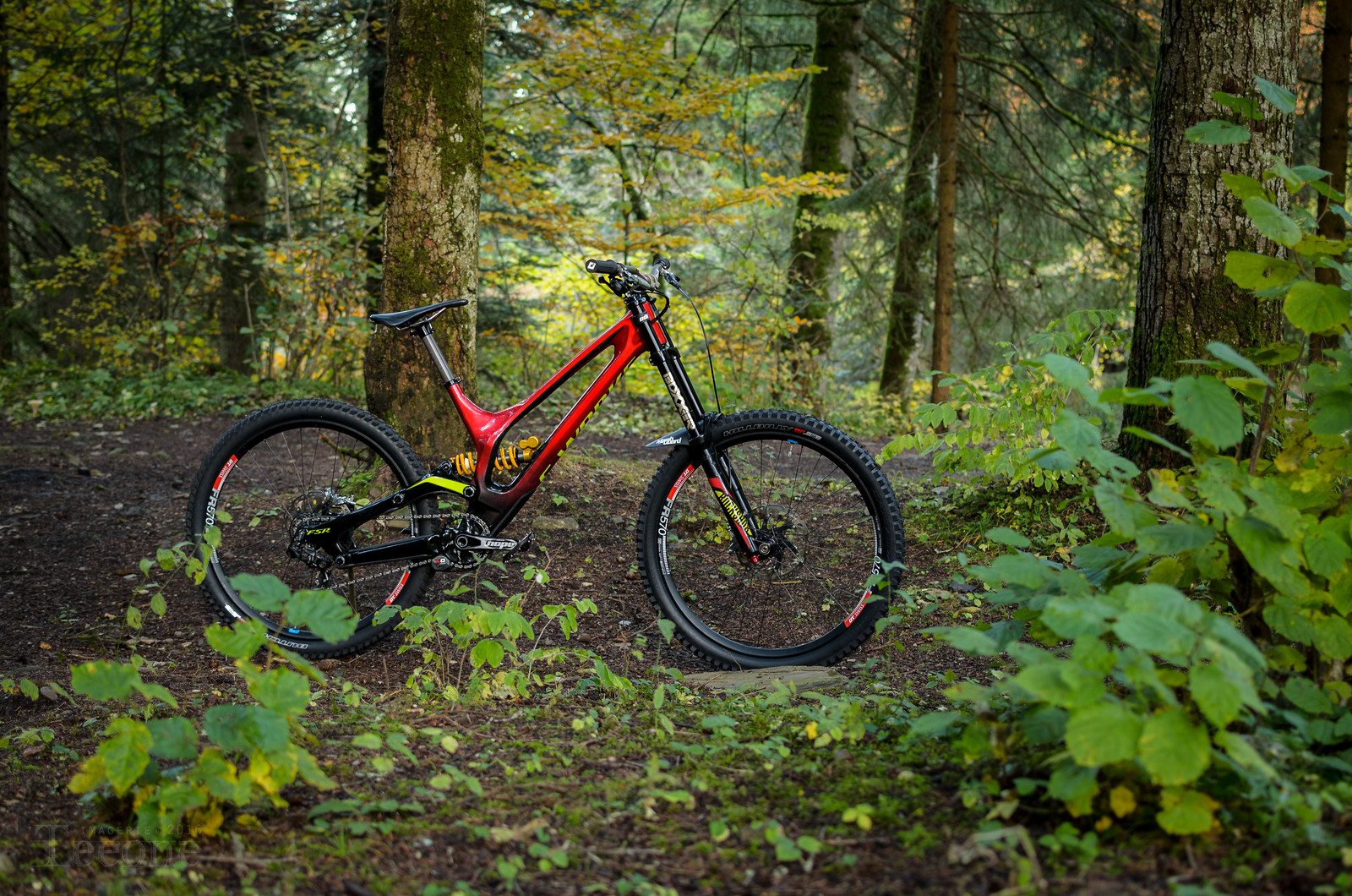 Specialized Demo 8 2017 - Loco's Bike Check - Vital MTB