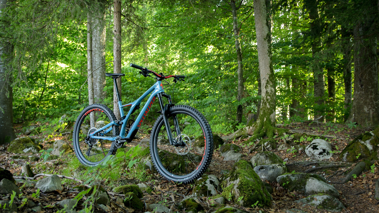 Stumpjumper FSR Expert carbon 29 - Loco's Bike Check - Vital MTB