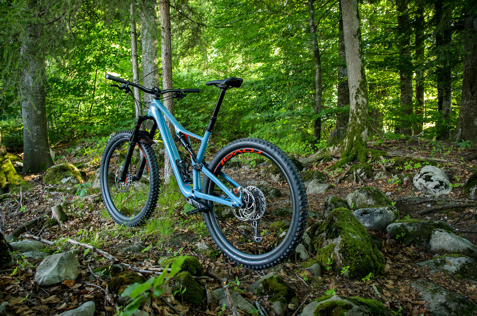 Stumpjumper FSR Expert carbon 29 - Loco's Bike Check - Vital MTB