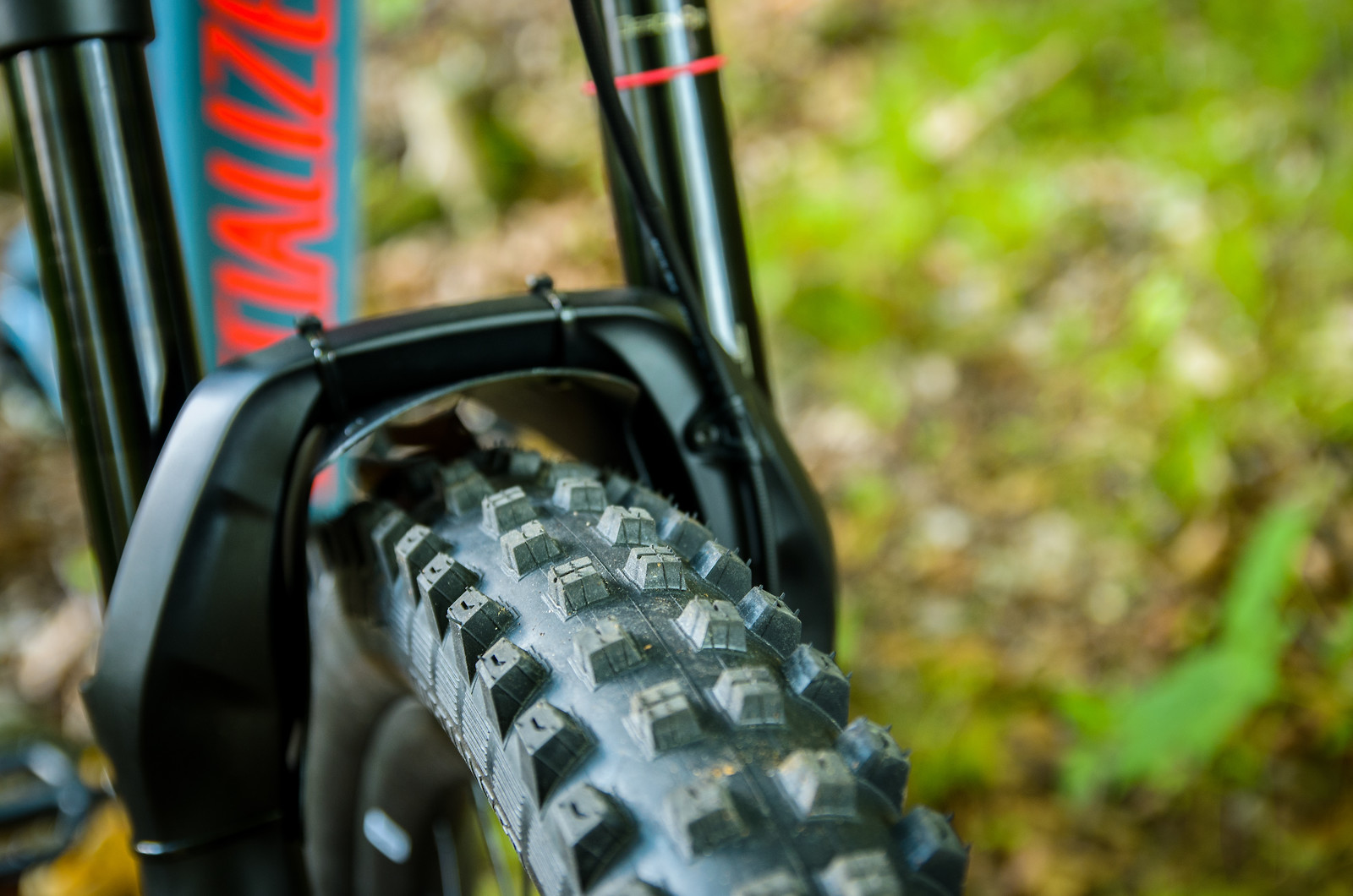 Stumpjumper FSR Expert carbon 29 - Loco's Bike Check - Vital MTB