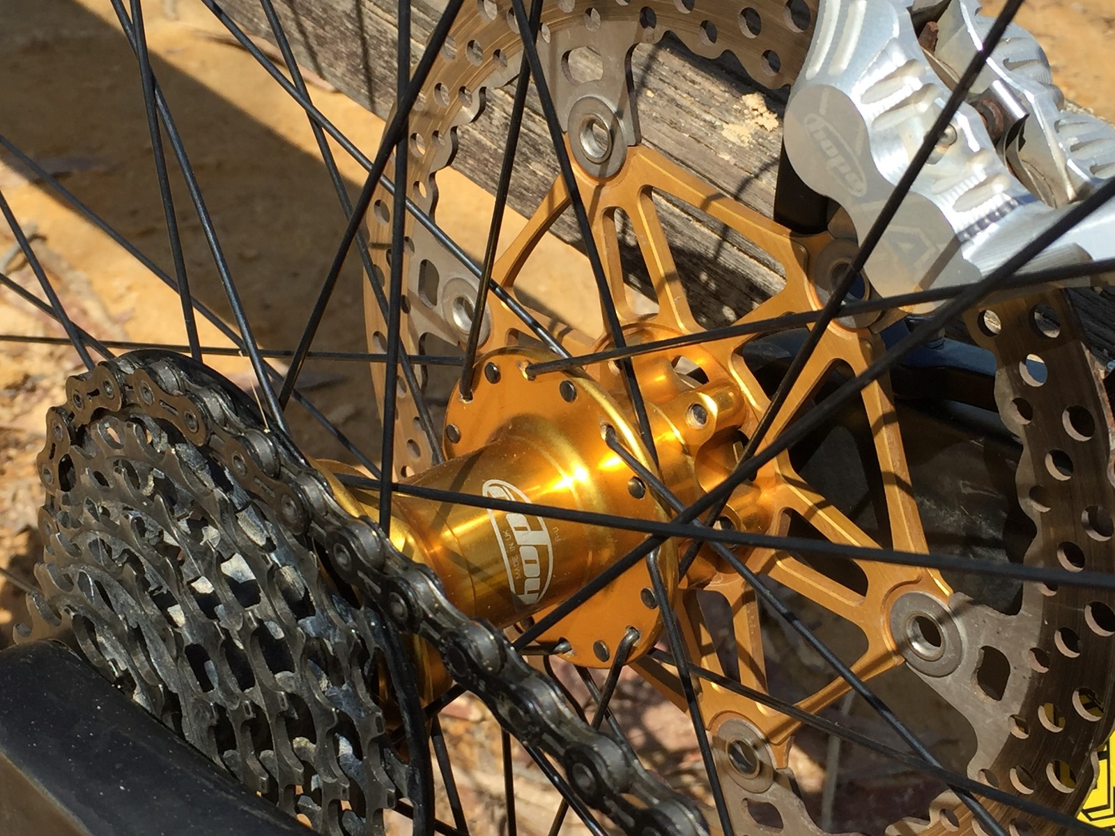 Polygon DH9 - Mohammed Ibni's Bike Check - Vital MTB