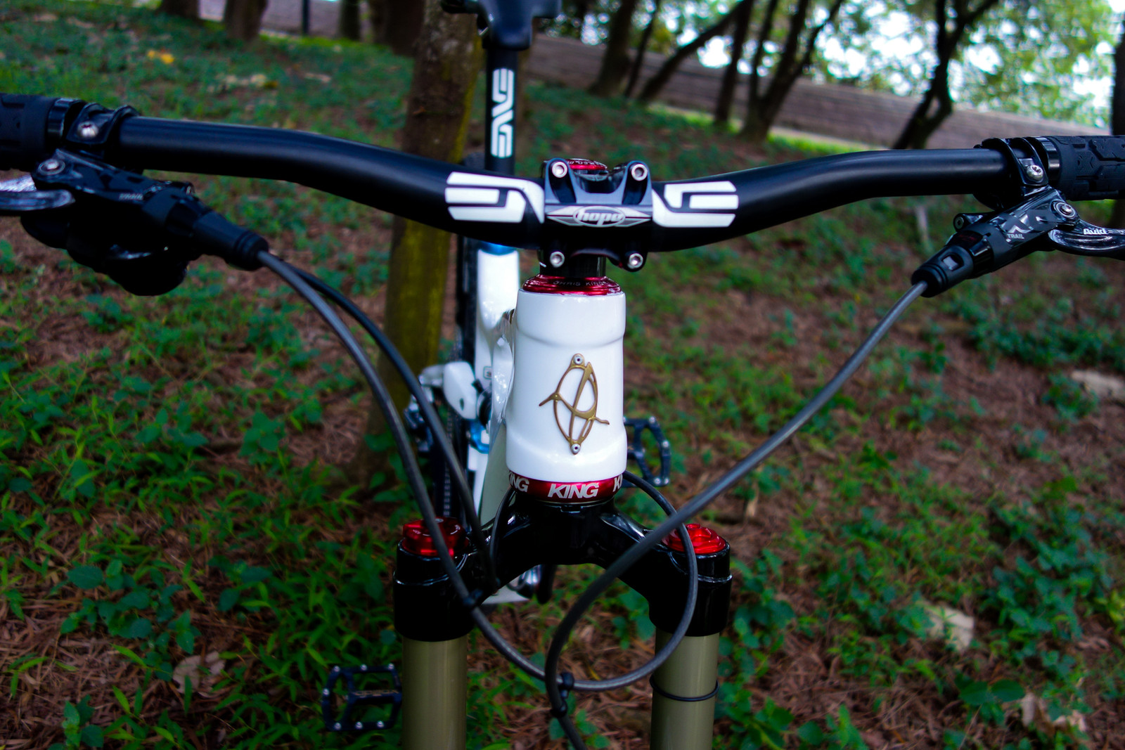 Ibis Mojo SL-R 650b x BOS - hkbugs's Bike Check - Vital MTB