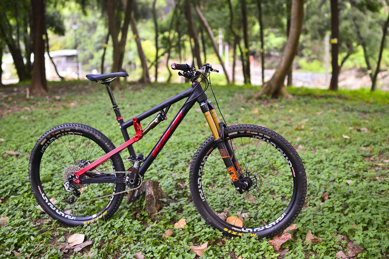 Nicolai Helius AC - hkbugs's Bike Check - Vital MTB