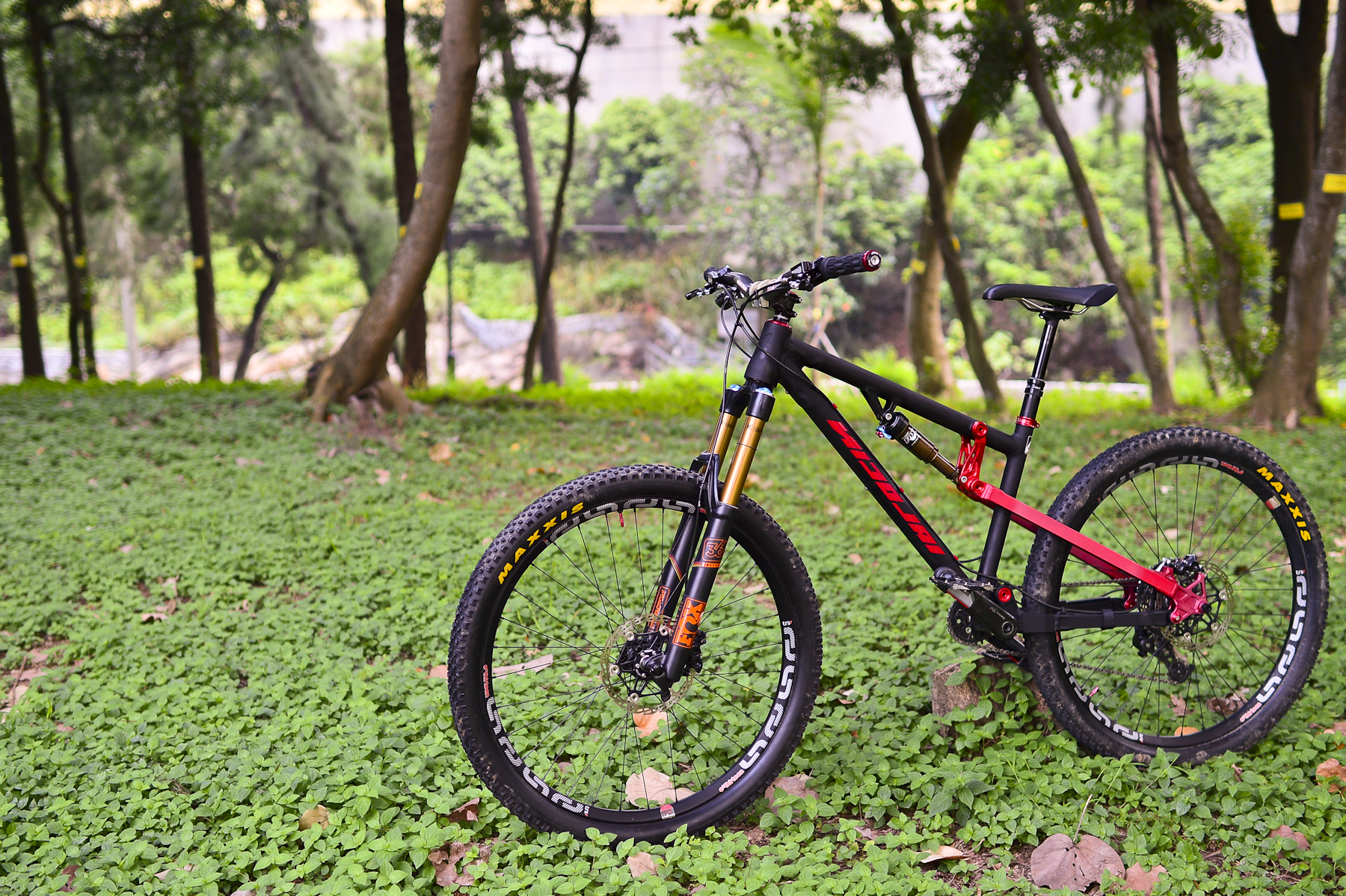 Nicolai Helius AC - hkbugs's Bike Check - Vital MTB