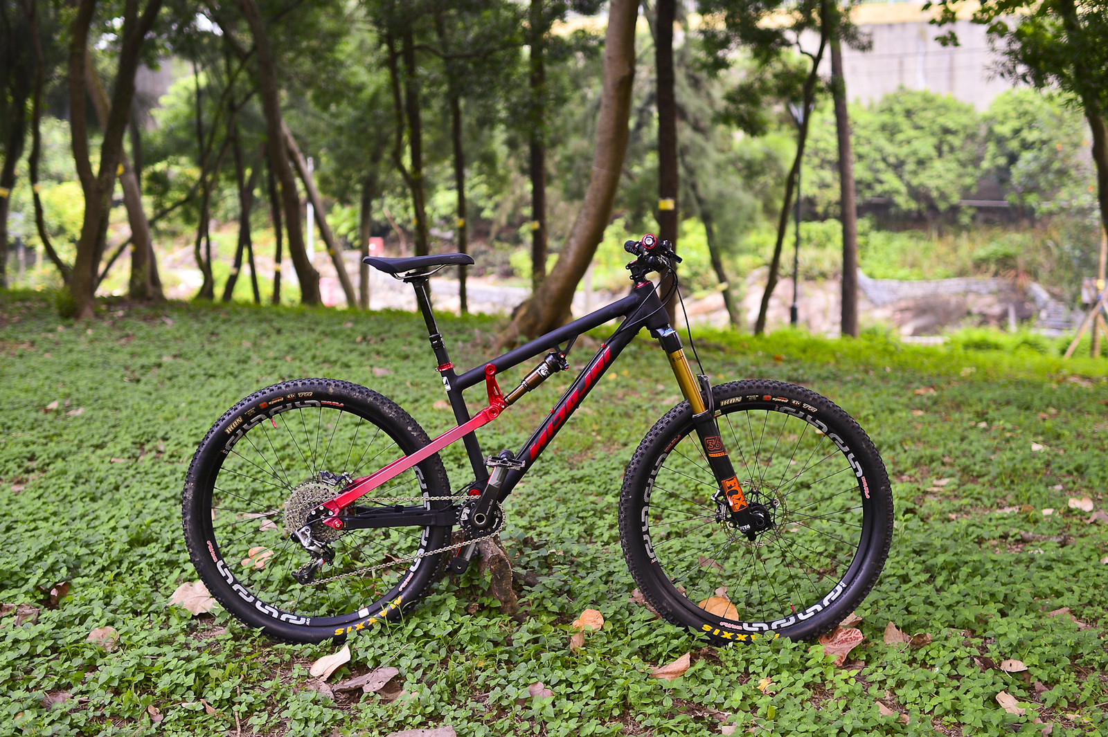 Nicolai Helius AC - hkbugs's Bike Check - Vital MTB