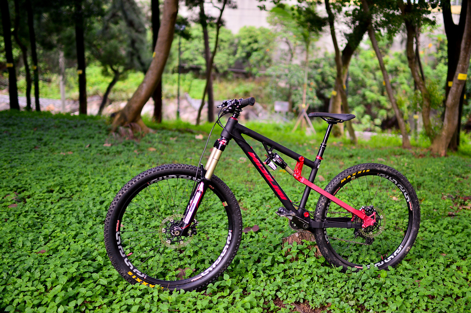 Nicolai Helius AC - hkbugs's Bike Check - Vital MTB