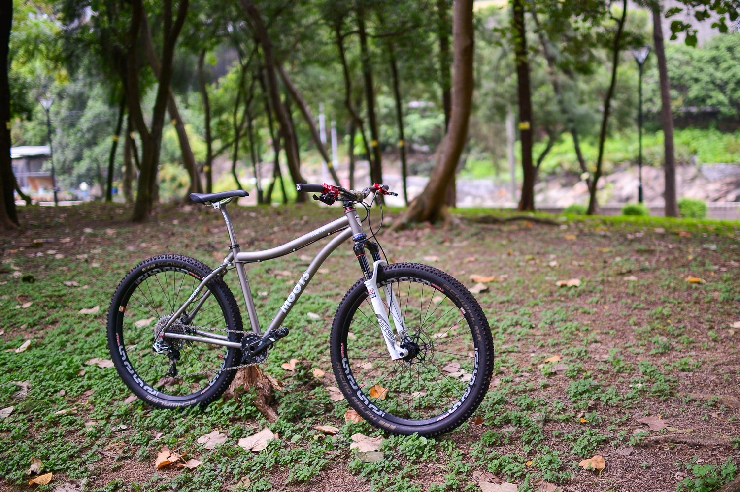 Moots Rogue YBB 650B - hkbugs's Bike Check - Vital MTB