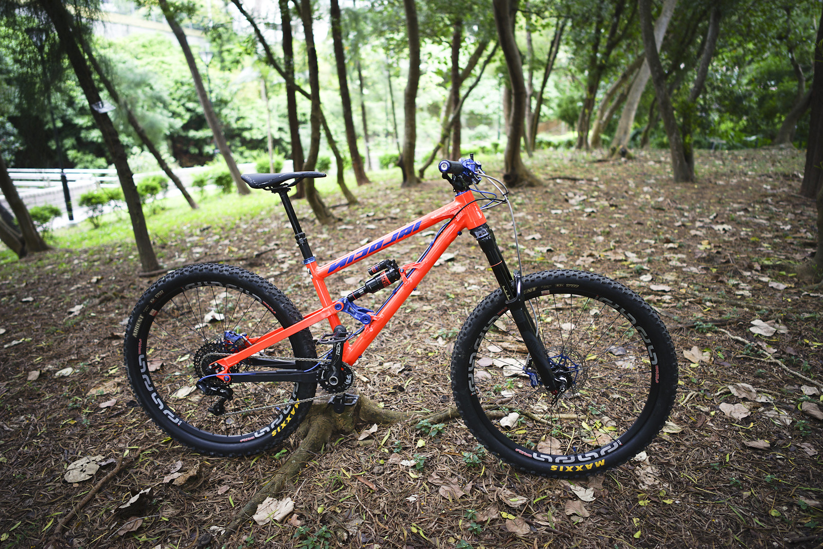 Nicolai ION 16 - hkbugs's Bike Check - Vital MTB