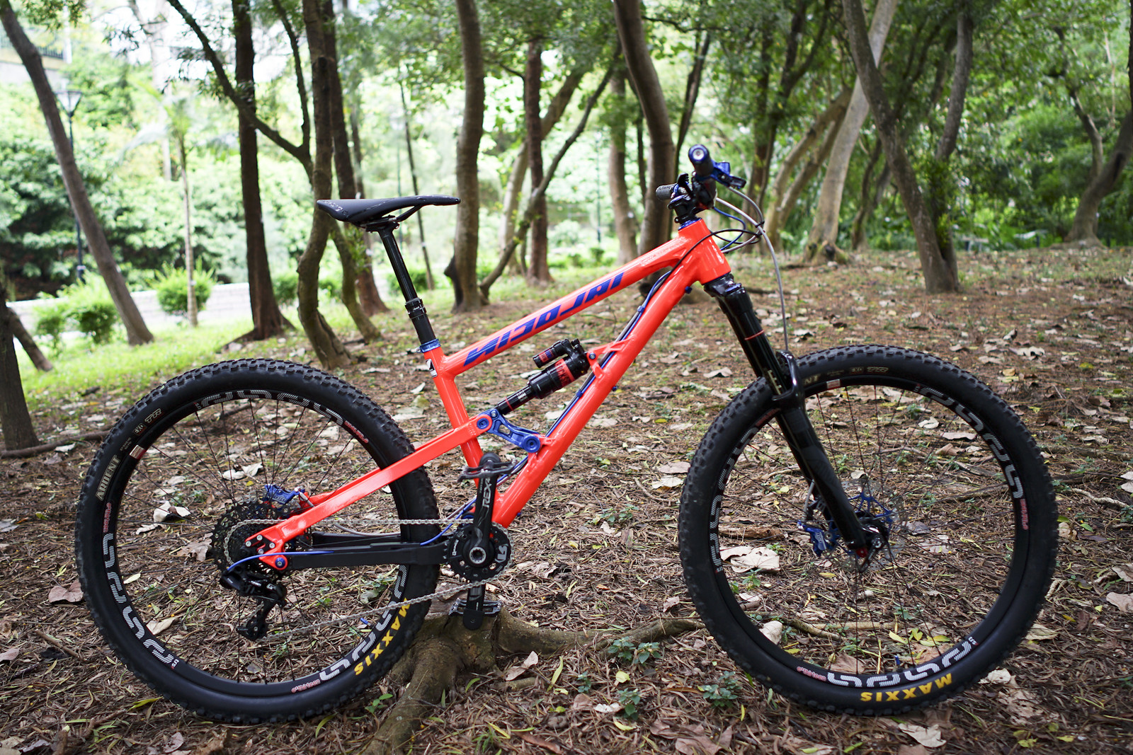 Nicolai ION 16 - hkbugs's Bike Check - Vital MTB