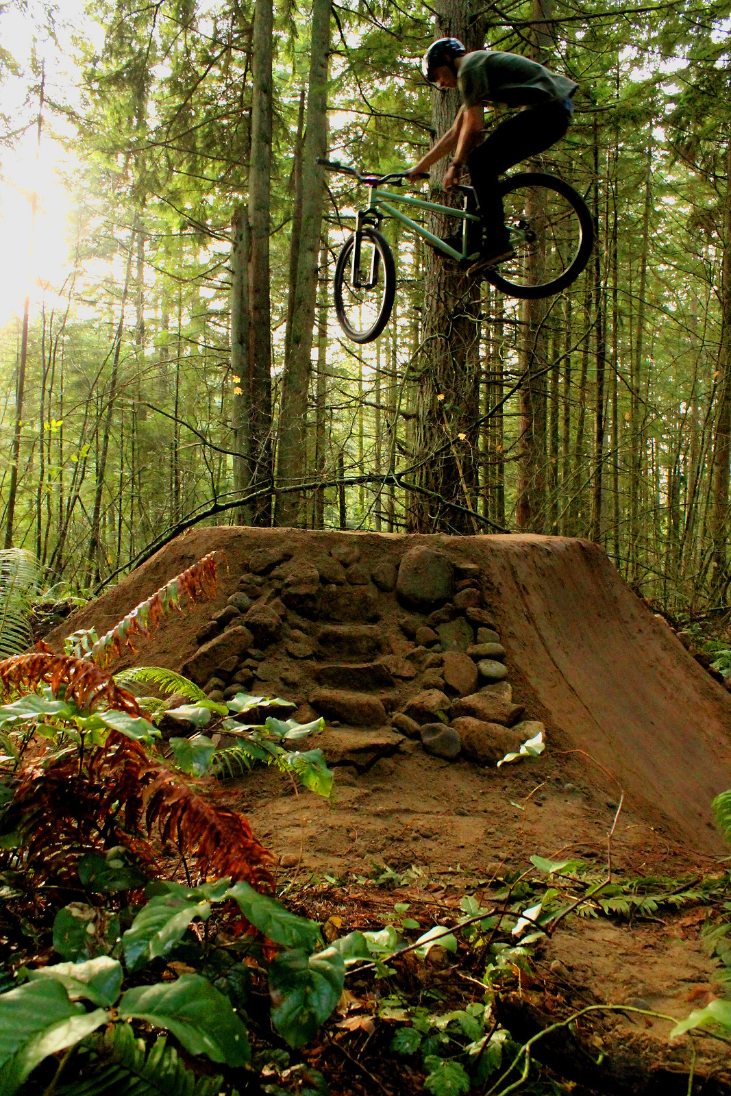Cole T-bog - DBibbins - Mountain Biking Pictures - Vital MTB