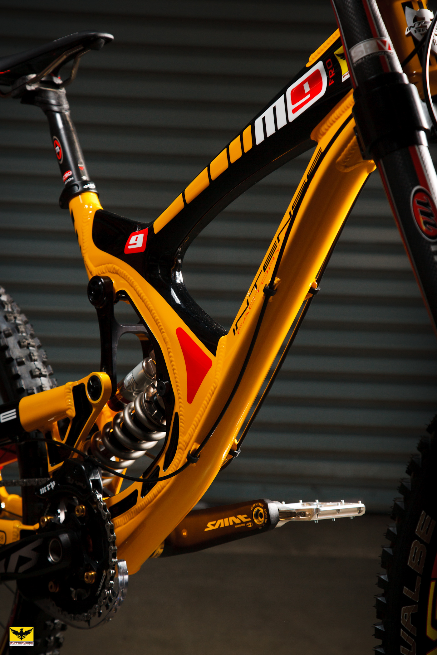 Intense_Renault 3 - intensecycles - Mountain Biking Pictures - Vital MTB