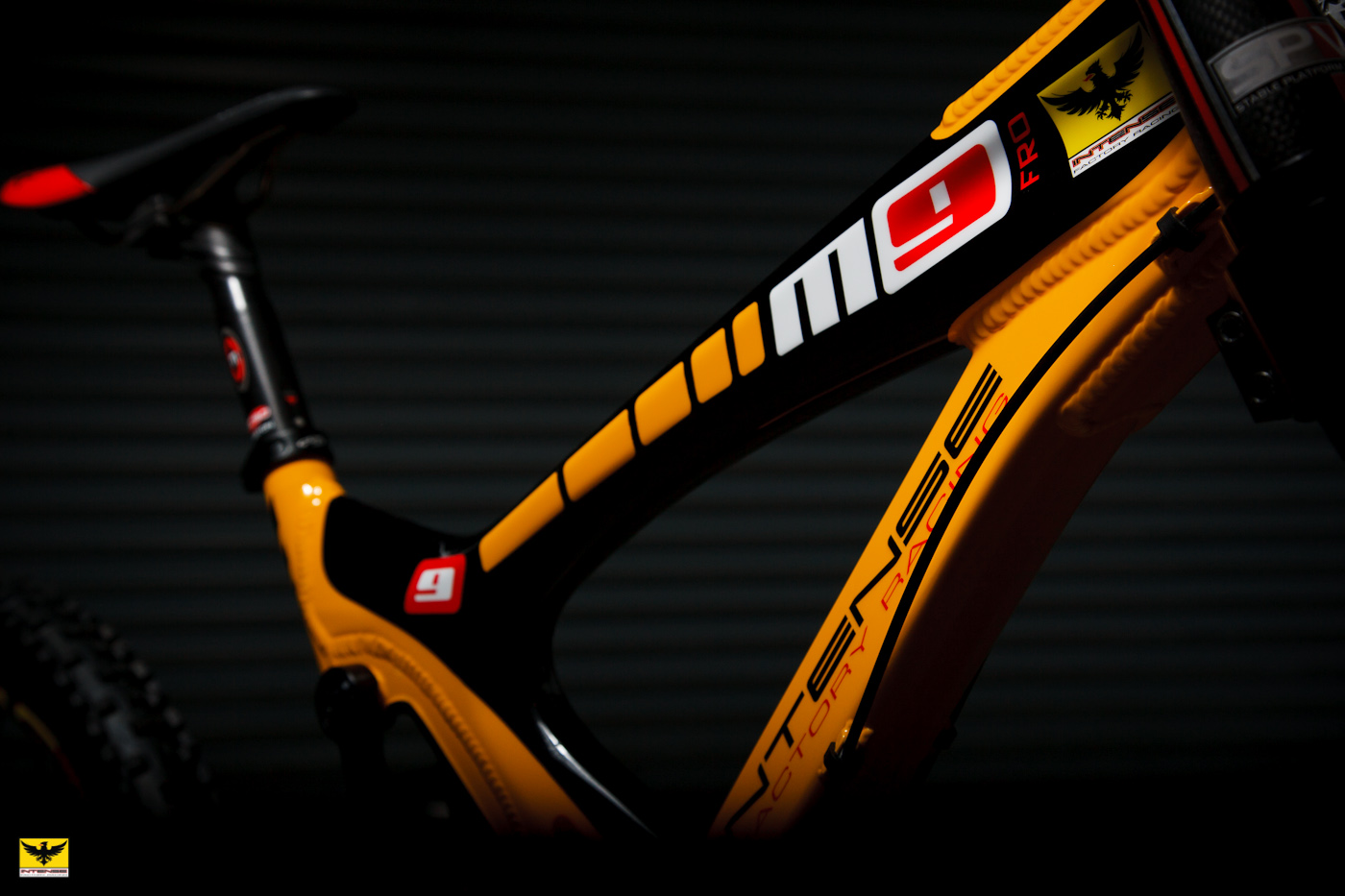 Intense_Renault 2 - intensecycles - Mountain Biking Pictures - Vital MTB