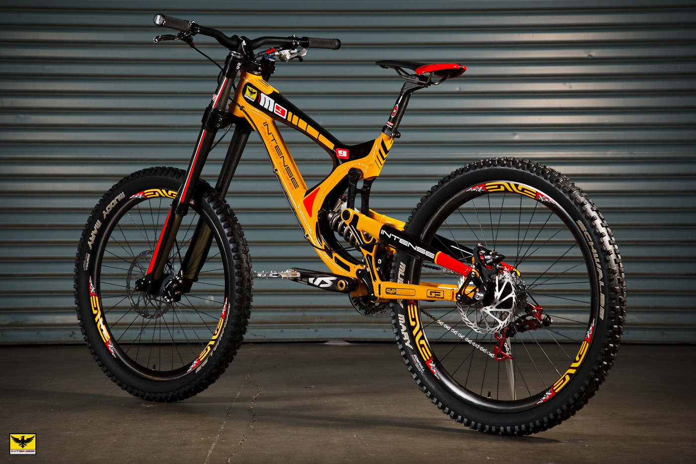 Intense_Renault 1 - intensecycles - Mountain Biking Pictures - Vital MTB