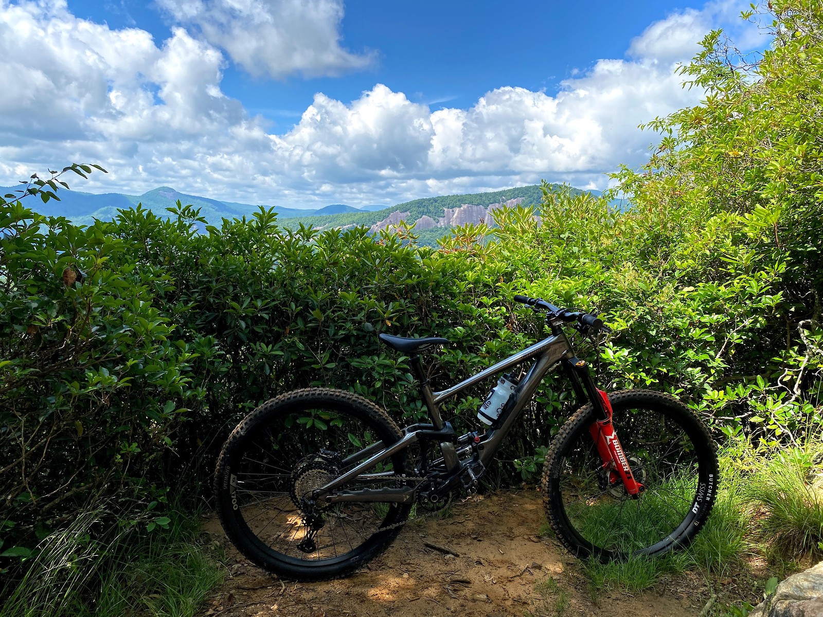 2021 Specialized Enduro Build - pinestraw's Bike Check - Vital MTB