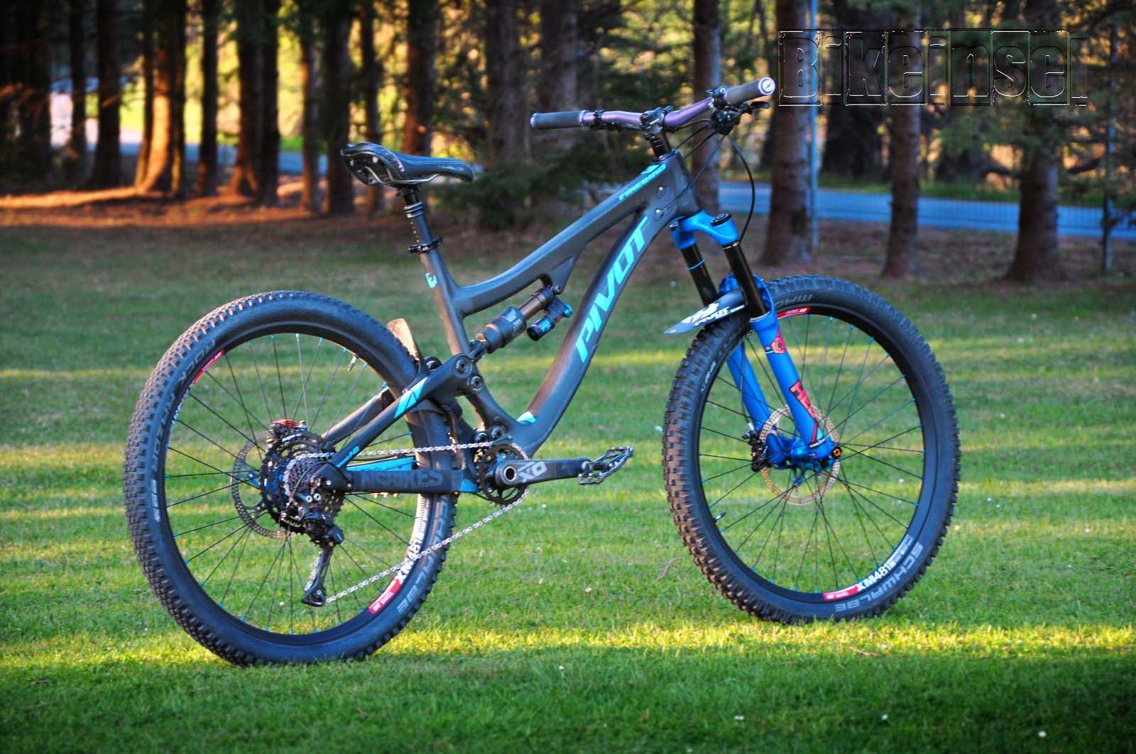 Pivot Firebird "blue wings" - bike.insel's Bike Check - Vital MTB