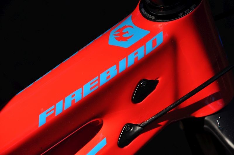 Pivot Firebird carbon custom "the xmas tree" - bike.insel's Bike Check ...