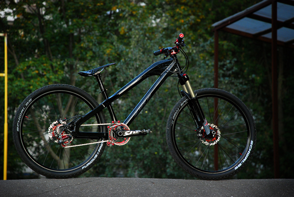 Alien Project - Wild Cat's Bike Check - Vital MTB