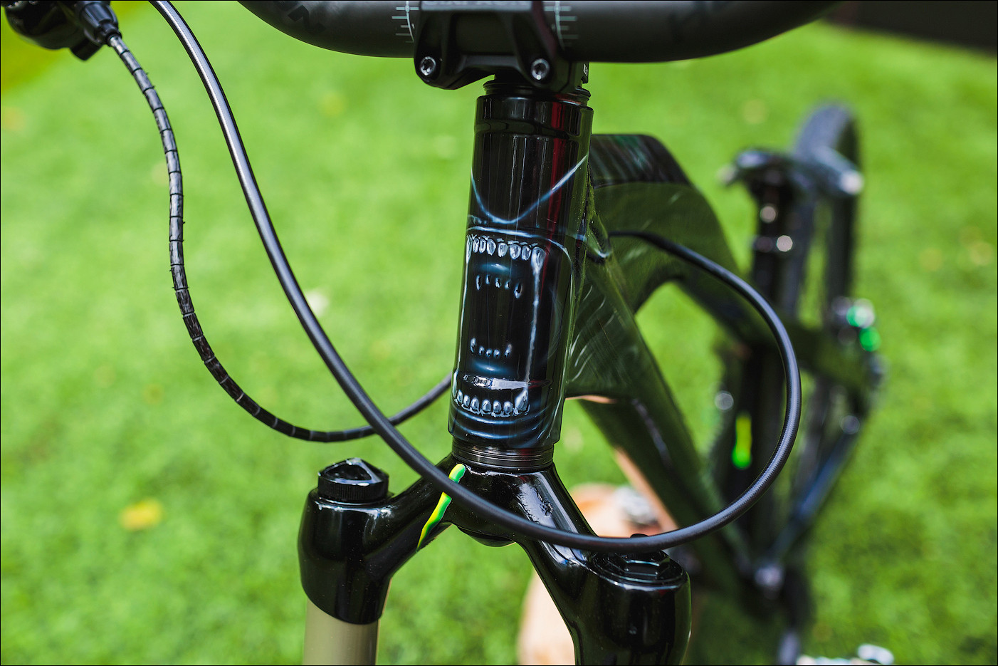 Alien project II. Reborn. - Wild Cat's Bike Check - Vital MTB