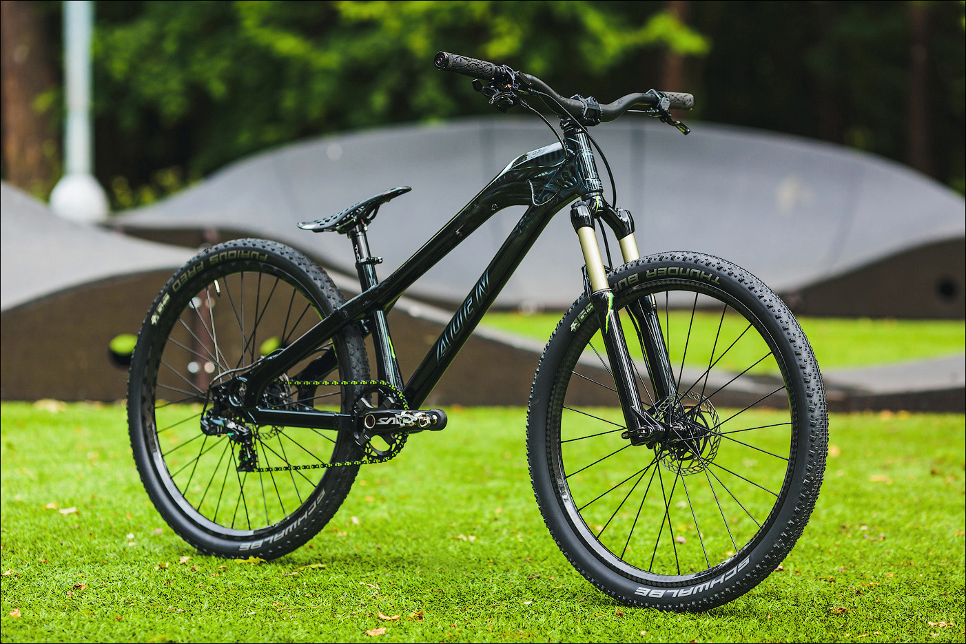 Alien project II. Reborn. - Wild Cat's Bike Check - Vital MTB