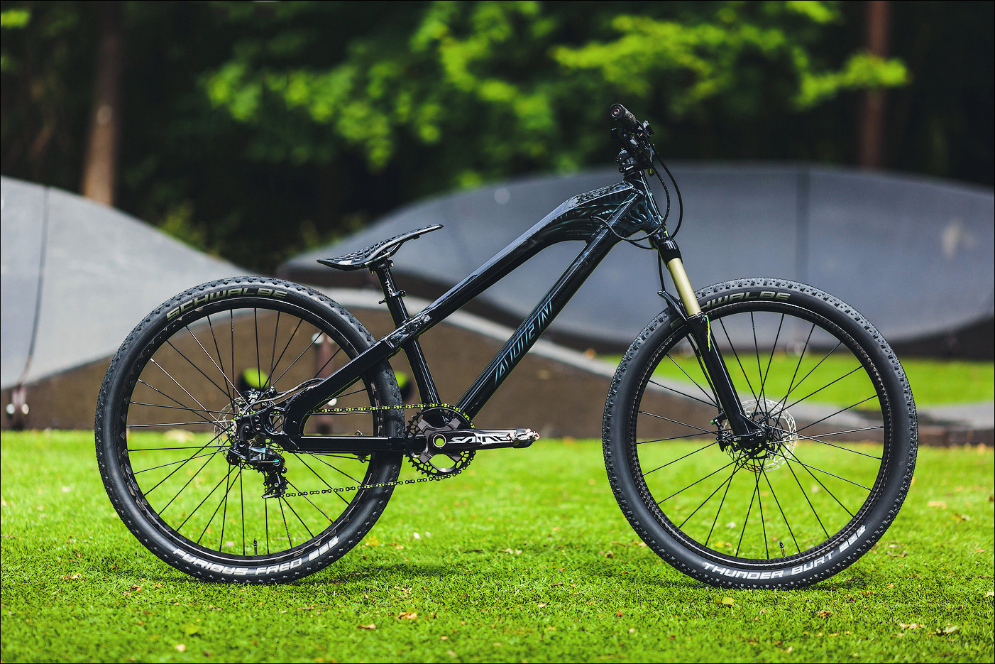Alien project II. Reborn. - Wild Cat's Bike Check - Vital MTB