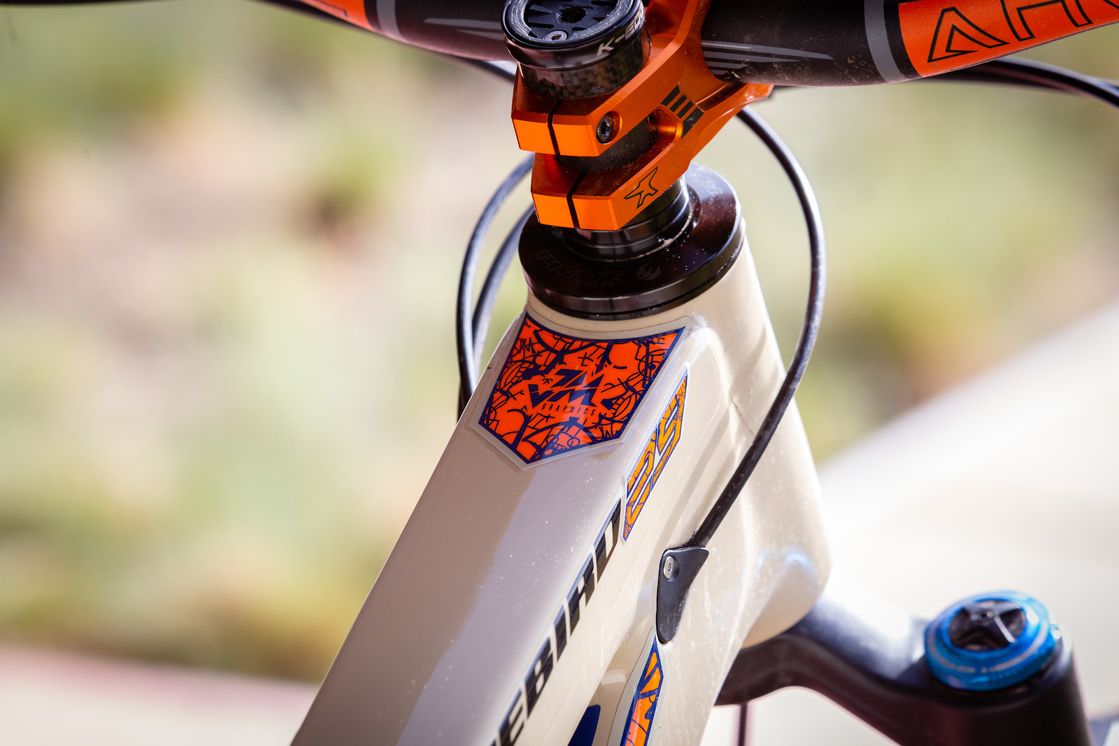 Pivot Firebird 2020 by Stromp - Stromp's Bike Check - Vital MTB