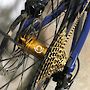 Revel Rascal - I LOVE GOLD - FanatikBikeCo's Bike Check - Vital MTB