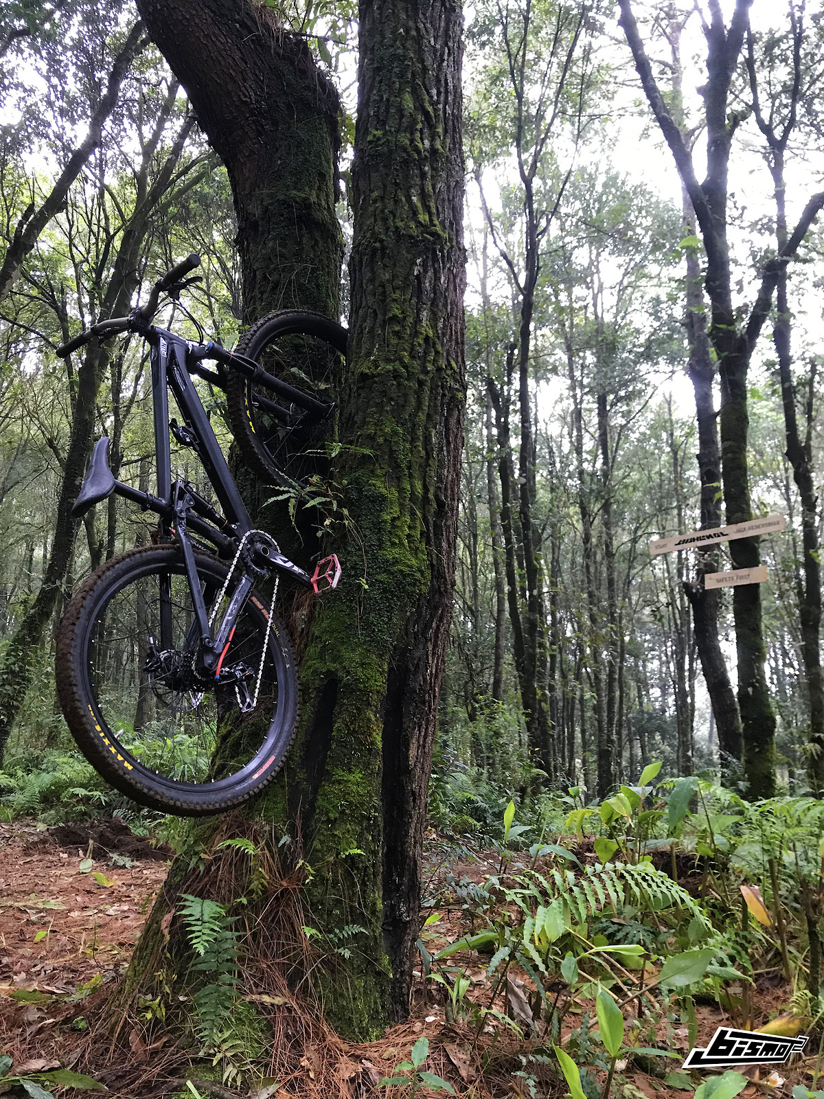 KALA™ (Polygon SS-Dirt / Trid-ZZ) - bismojo's Bike Check - Vital MTB