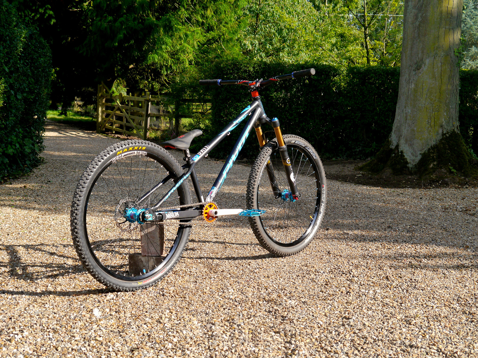 Pivot Point - charles.livens's Bike Check - Vital MTB