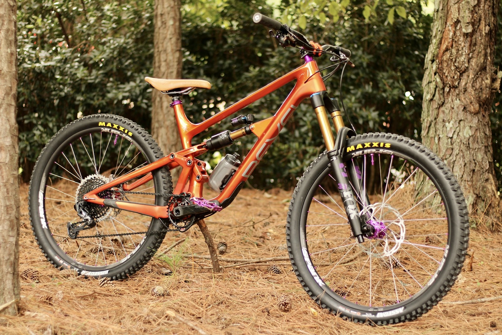 Revel Rail - buli.schaefer's Bike Check - Vital MTB