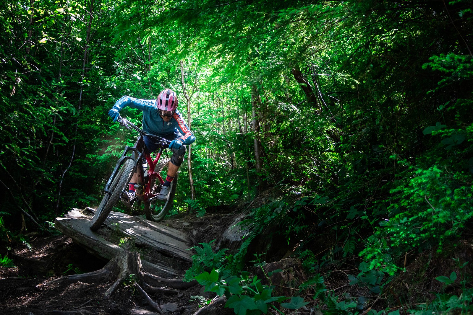 Rock - Wayne DC - Mountain Biking Pictures - Vital MTB