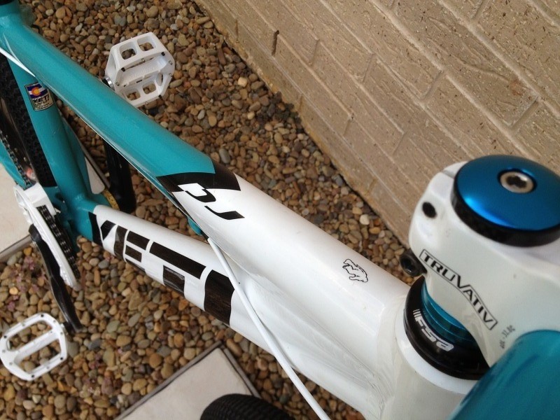 Yeti DJ - Lee.Norman's Bike Check - Vital MTB