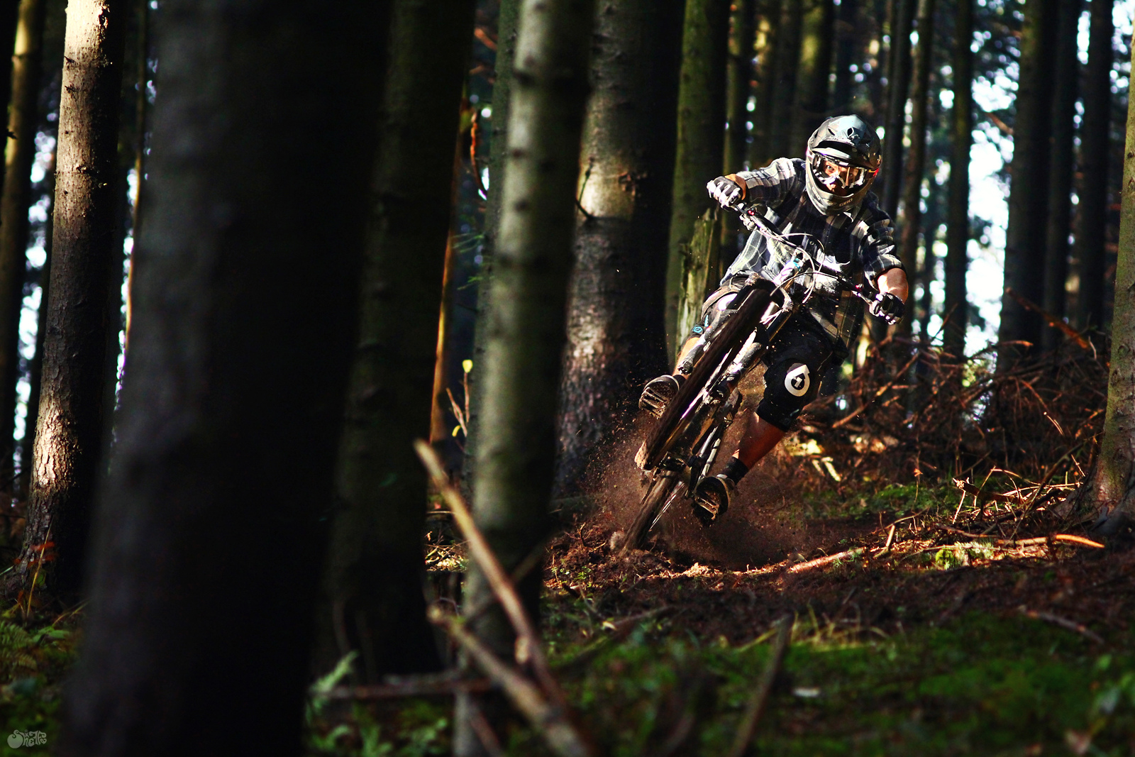 Roost - miki - Mountain Biking Pictures - Vital MTB