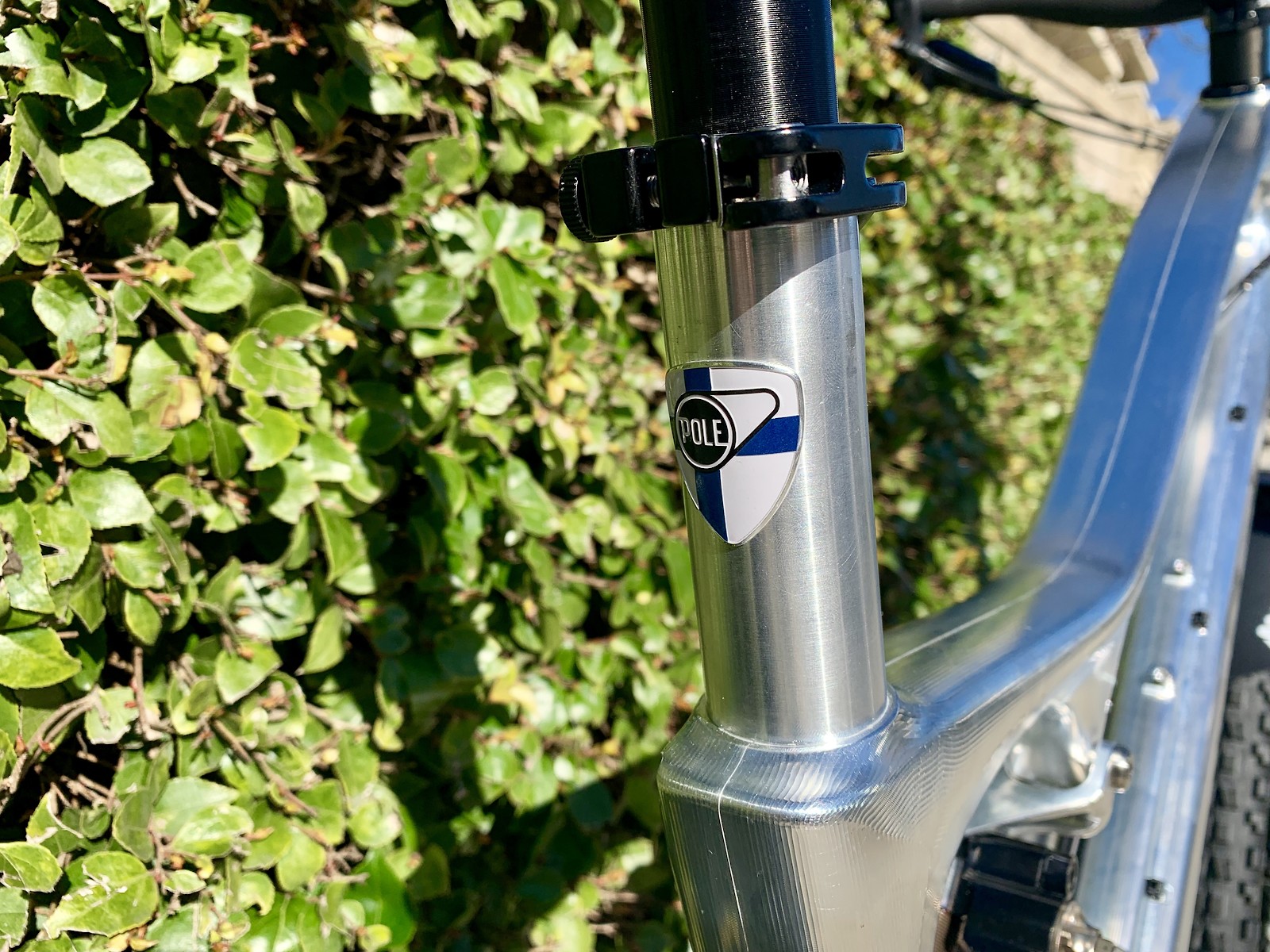 Pole Machine - 0xDEADBEEF's Bike Check - Vital MTB