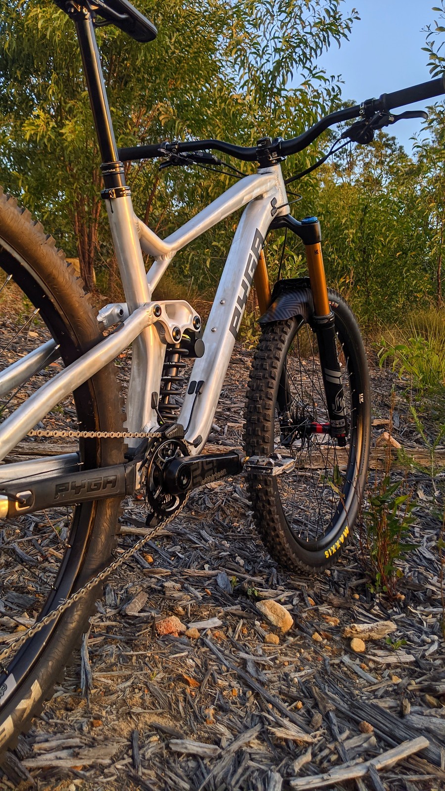 Pyga Hyrax - Bam Silva's Bike Check - Vital MTB
