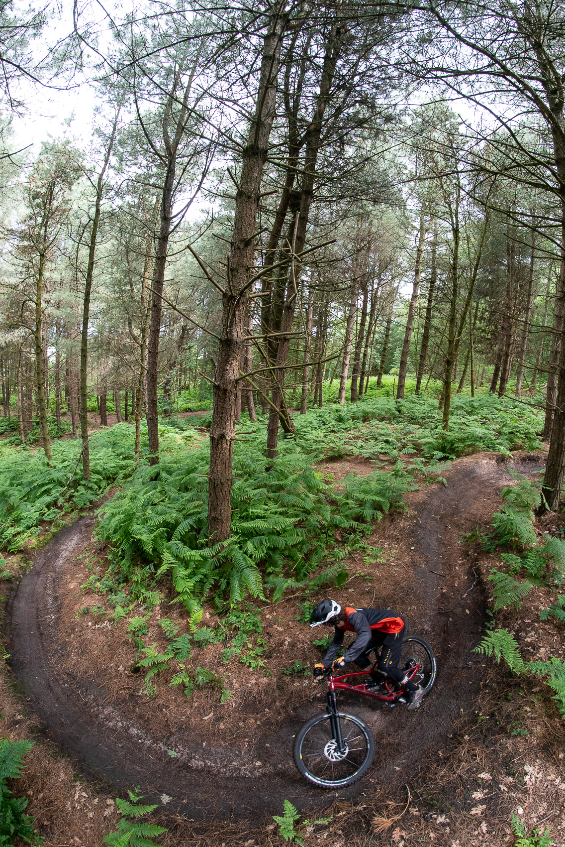 Berms for days - CaldwellVisuals - Mountain Biking Pictures - Vital MTB