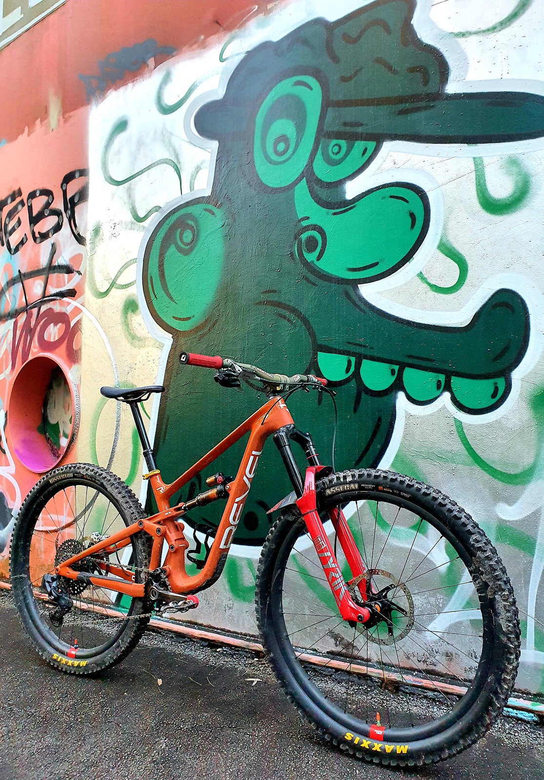 Revel Rascal - Dano_mtb's Bike Check - Vital MTB