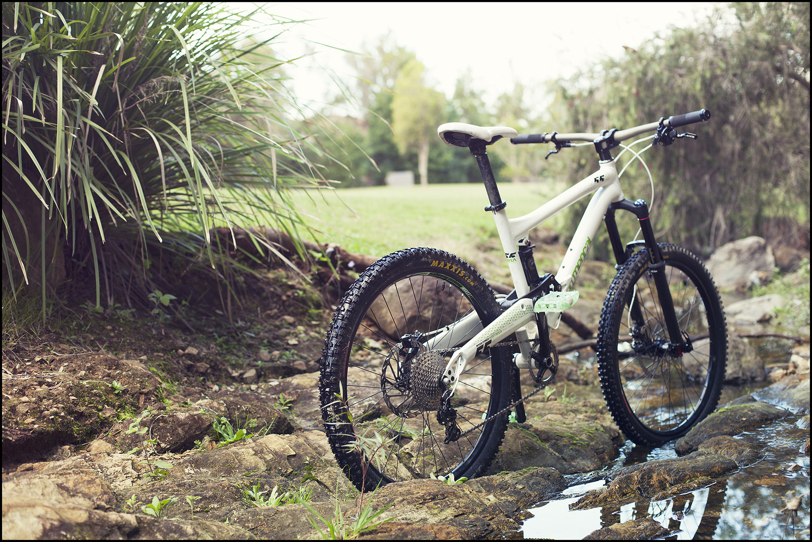 Commencal Meta 55 Team - mitchy's Bike Check - Vital MTB