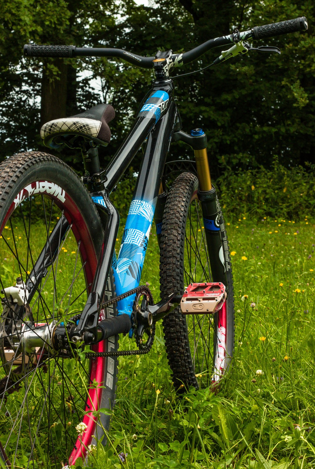 Trek Ticket Signature - Mad Moss's Bike Check - Vital MTB