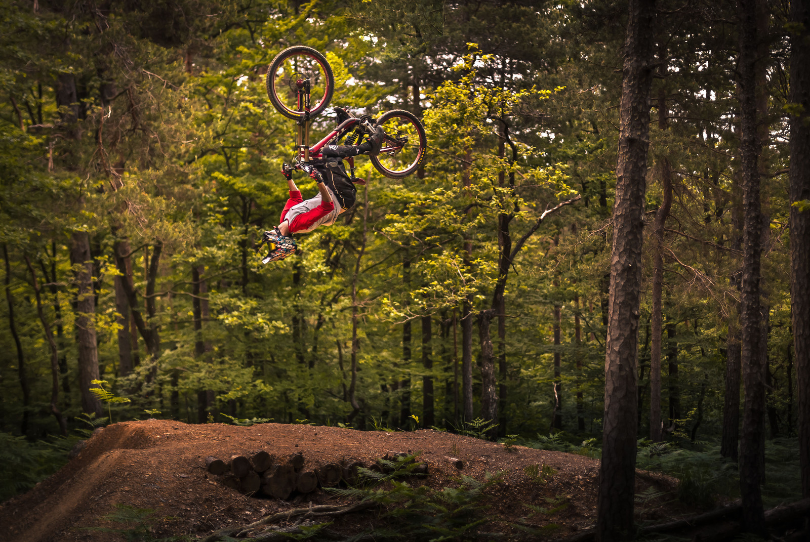 Big bike Backflip - berto - Mountain Biking Pictures - Vital MTB