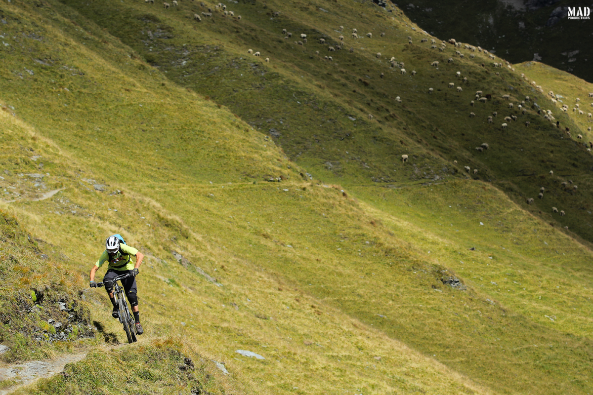 Singletrack Maze - madproductions - Mountain Biking Pictures - Vital MTB