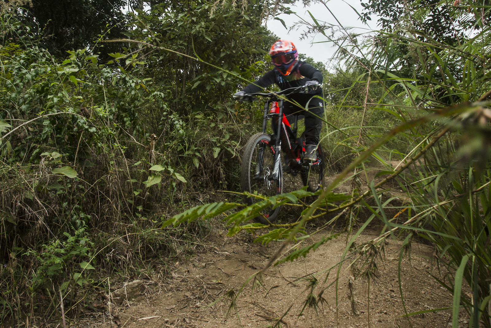 20171105 5DM3 NANDI 59 - robin.conz - Mountain Biking Pictures - Vital MTB