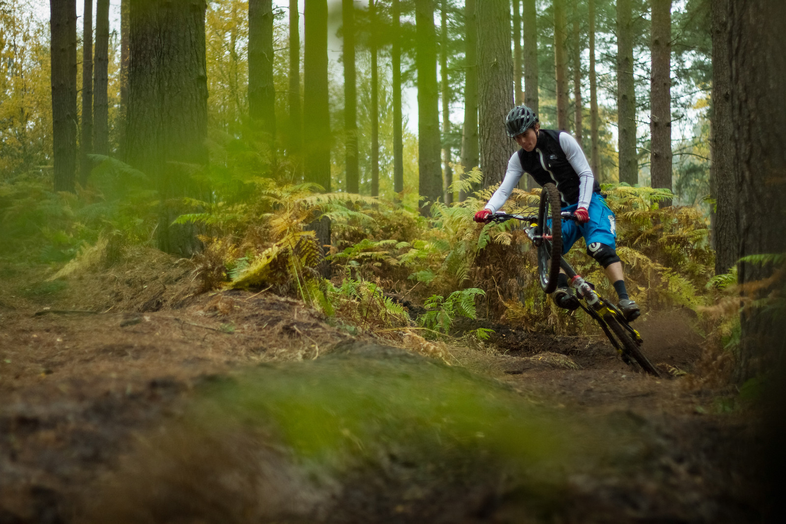 Getting steezy - Visual Elements - Mountain Biking Pictures - Vital MTB