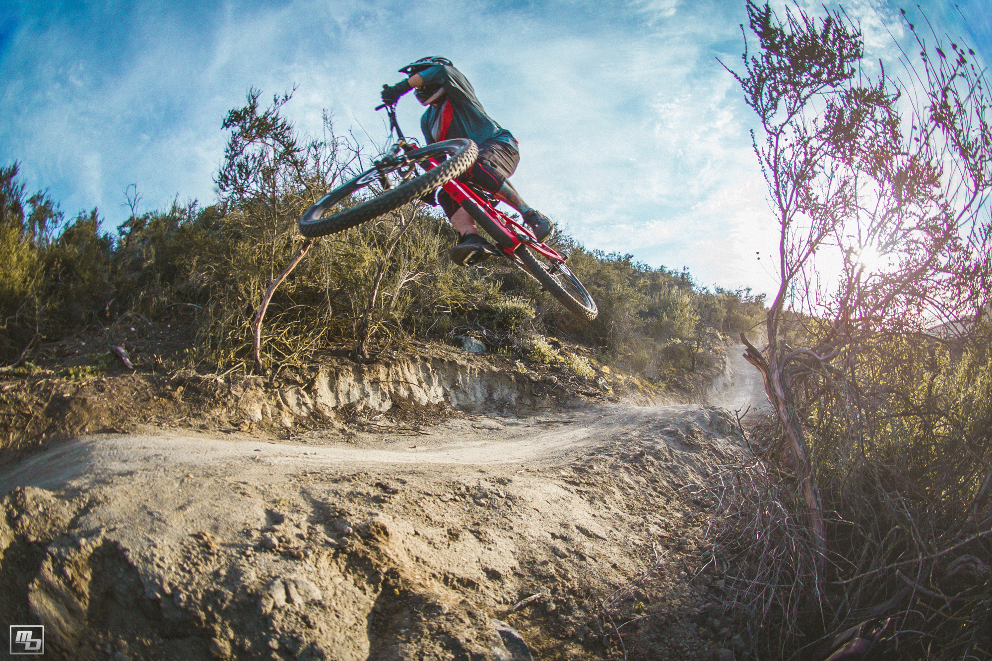 Whips - krismag117 - Mountain Biking Pictures - Vital MTB